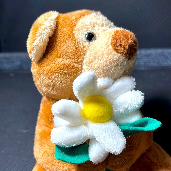 Ty | Toys | New Ty Beanie Baby Bloomfield Bear | Poshmark